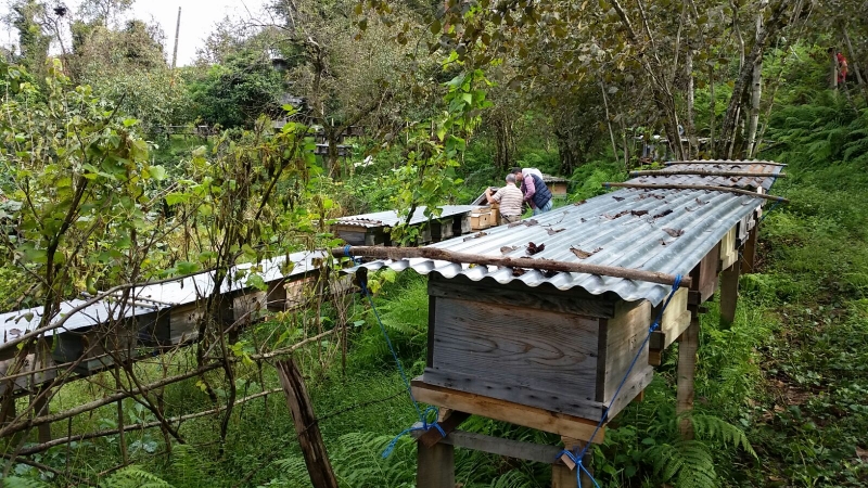 Rize Arıcılar Birliği - Rab